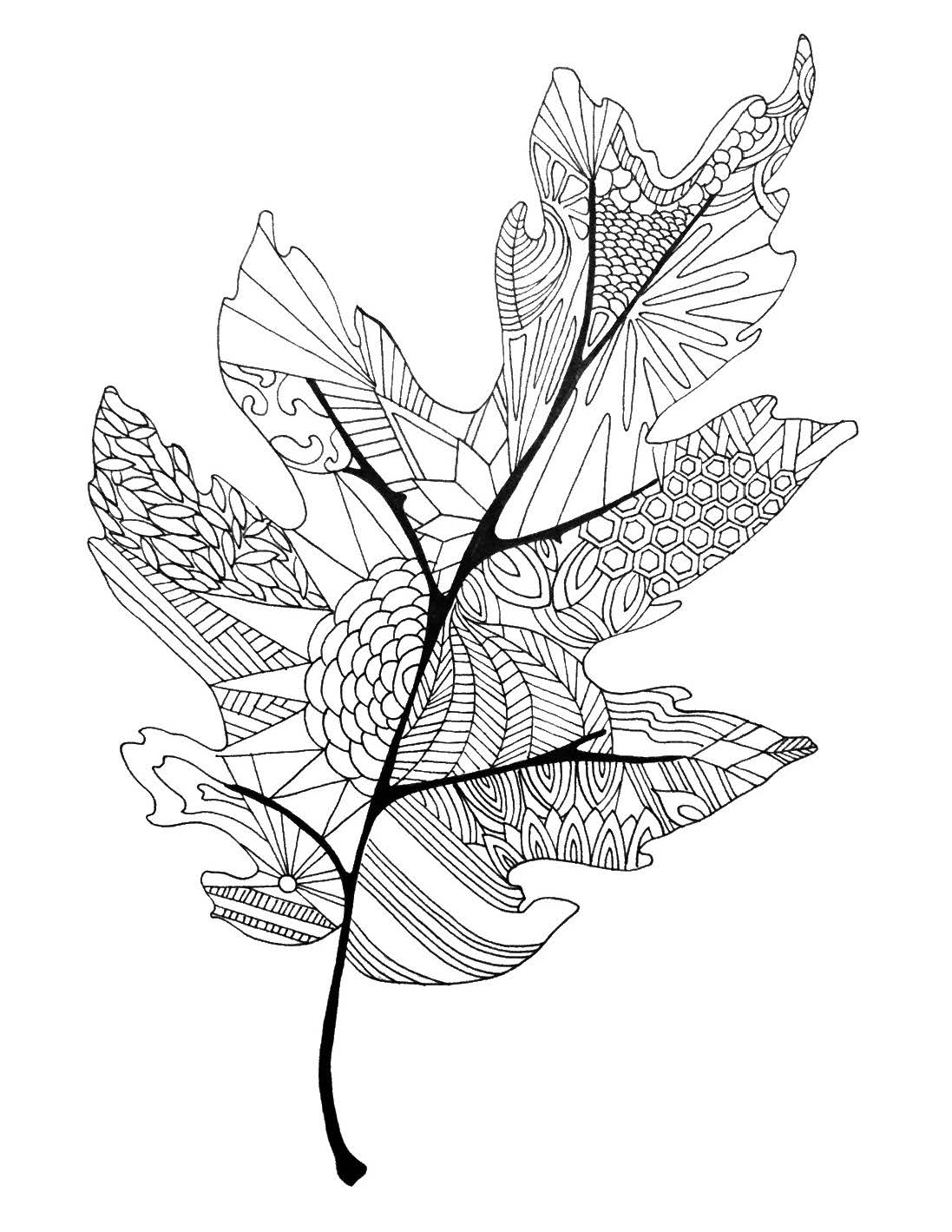 FALL COLORING PAGES | The William Benton Museum of Art